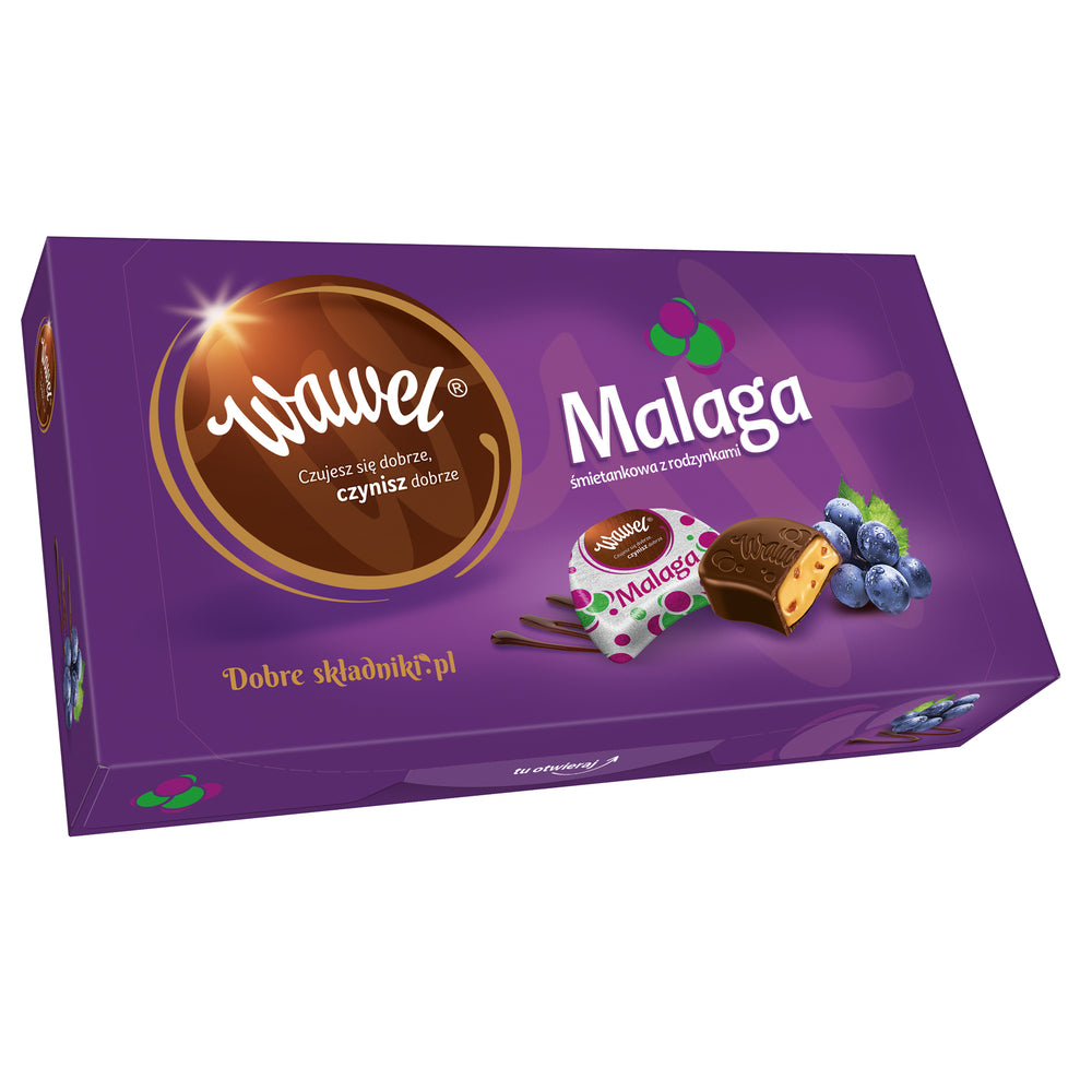 Wawel Chocolate Box Malaga 210G – Polish Shop Online